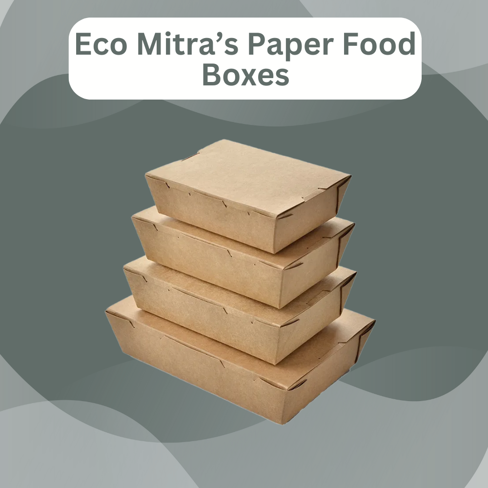Paper Food Box – Eco Mitra